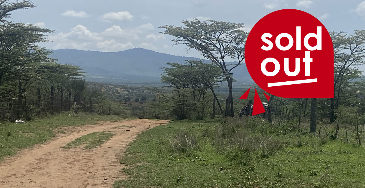 El Daiga Views – Daiga Properties